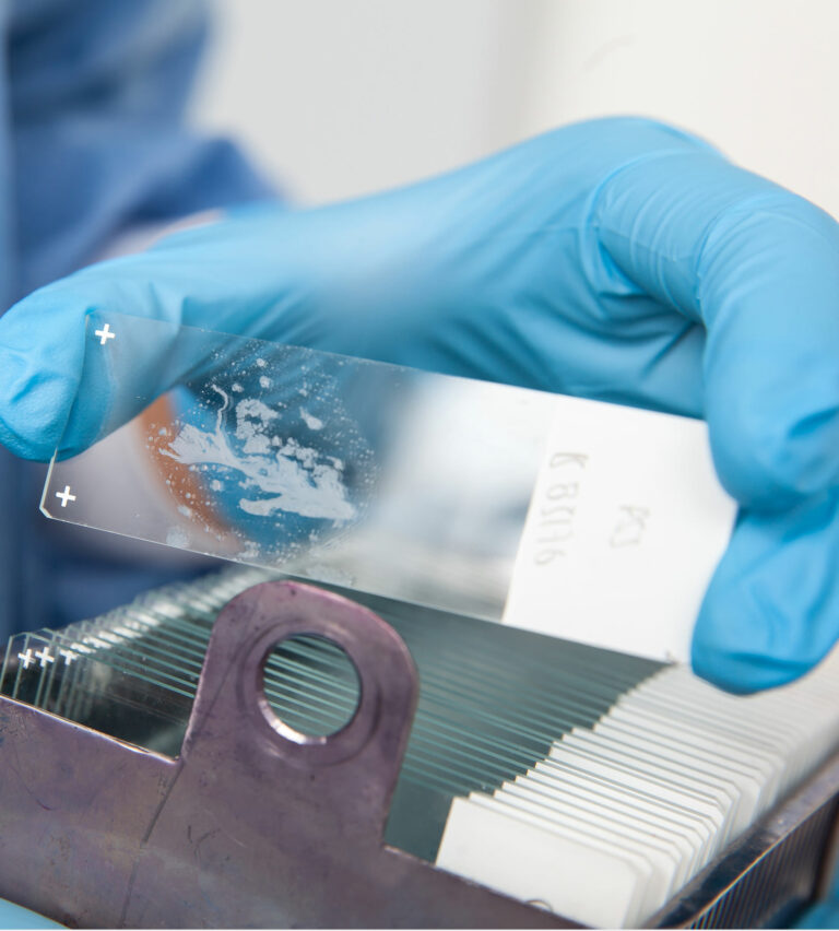 High-Quality Tissue Specimens for Research | Boca Biolistics