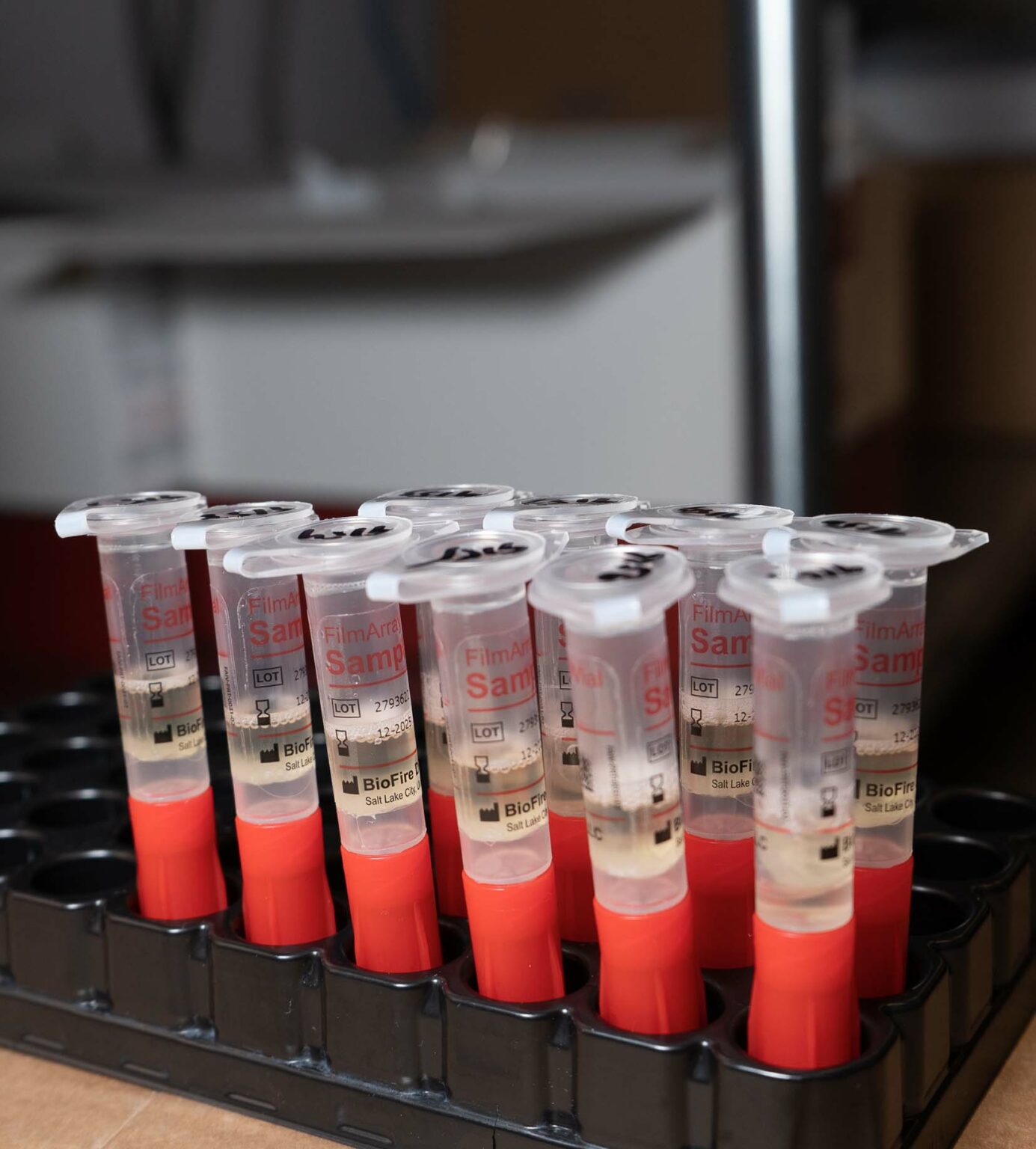 Custom Human Tissue Procurement Services | Boca Biolistics
